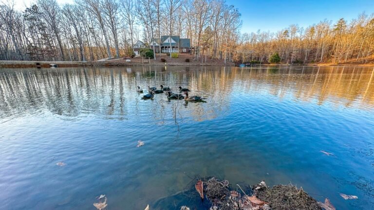 Misty Lake RV Park - Fishing and Waterfalls - Westminster SC